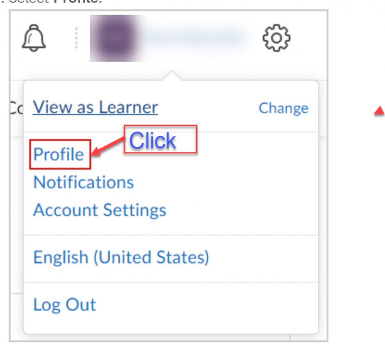 Brightspace Guide for Faculty | CUNY School of Law
